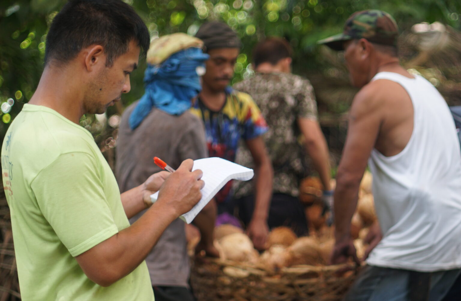 Labor Risks in the Philippine Coconut Sector